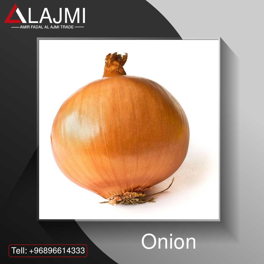 Onion – AmirFada Al Ajmi Trade