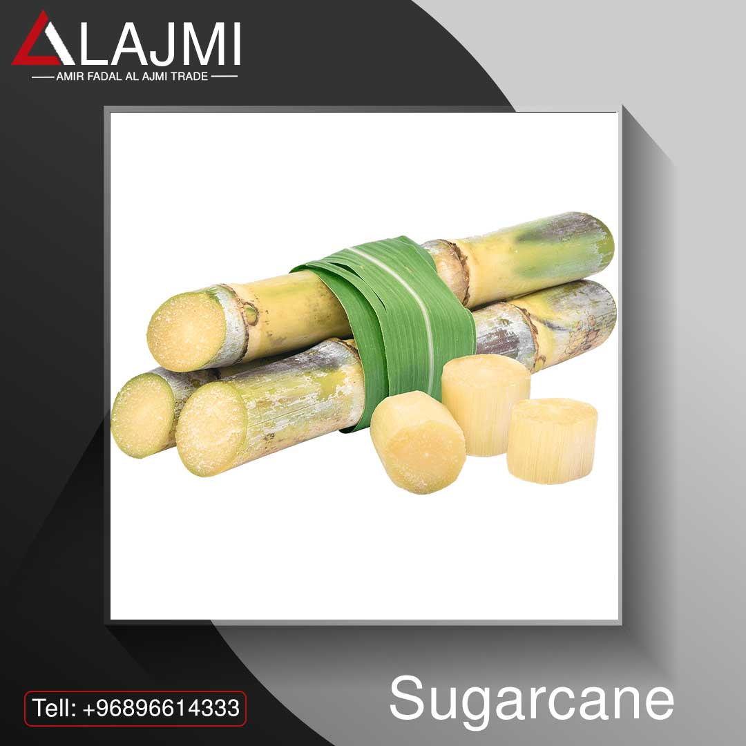 Sugarcane – AmirFada Al Ajmi Trade